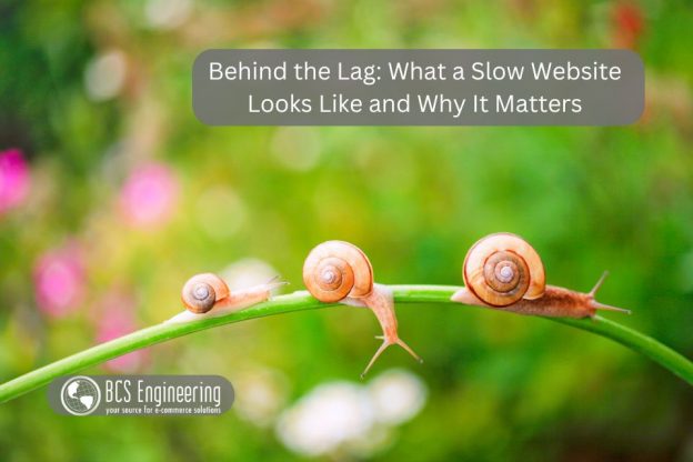 Behind the Lag: What a Slow Website Looks Like and Why It Matters - BCS ...