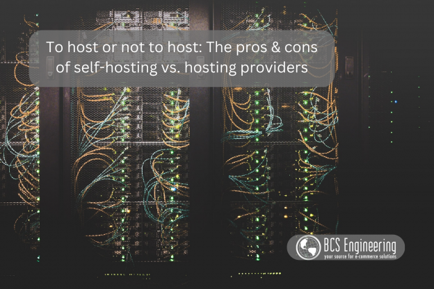 To Host Or Not To Host The Pros And Cons Of Self Hosting Vs Hosting